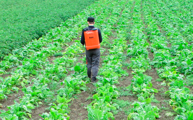 Osatu, professional sprayers for agriculture, garden and professional gardening